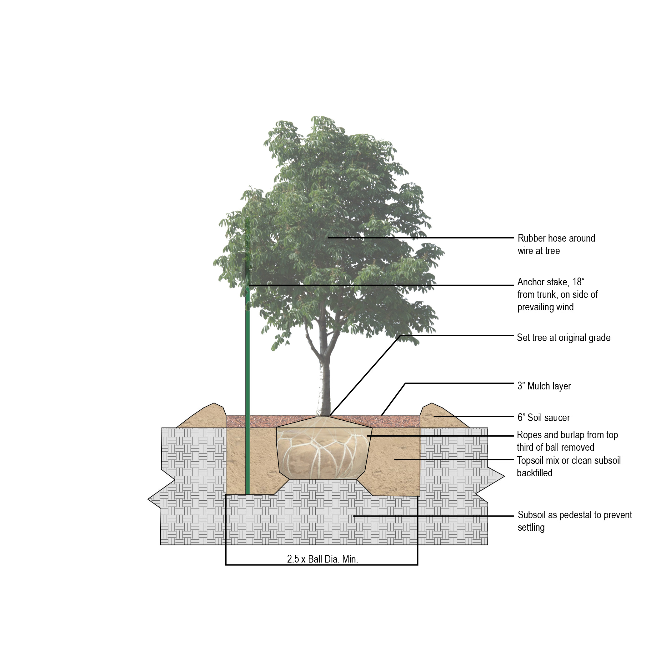 Planting Construction Detail Section